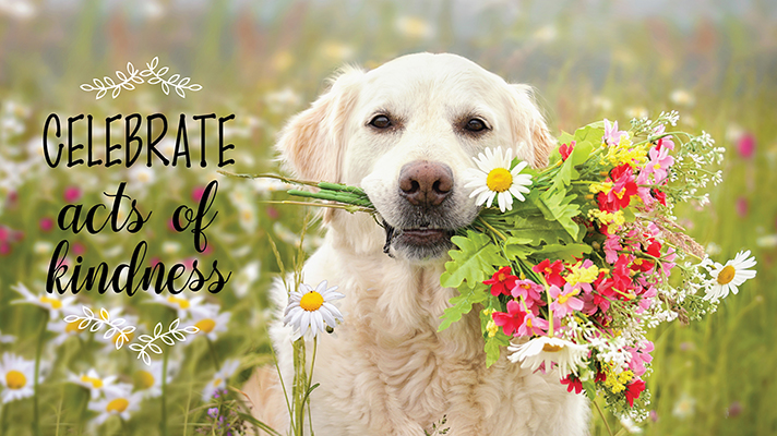 A-Line Greetings | Wholesale Greeting Cards and Accessories